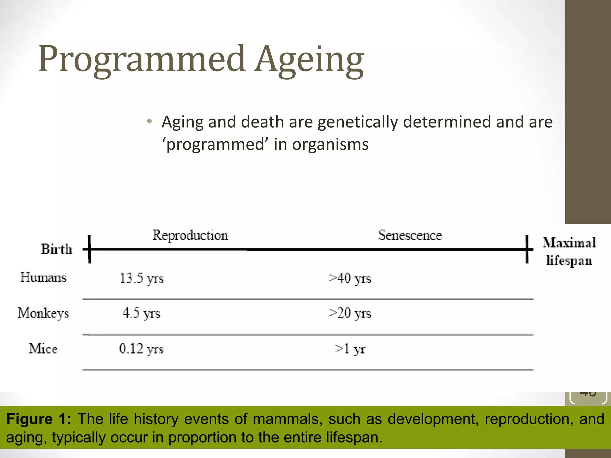 Biology of Aging | PPT
