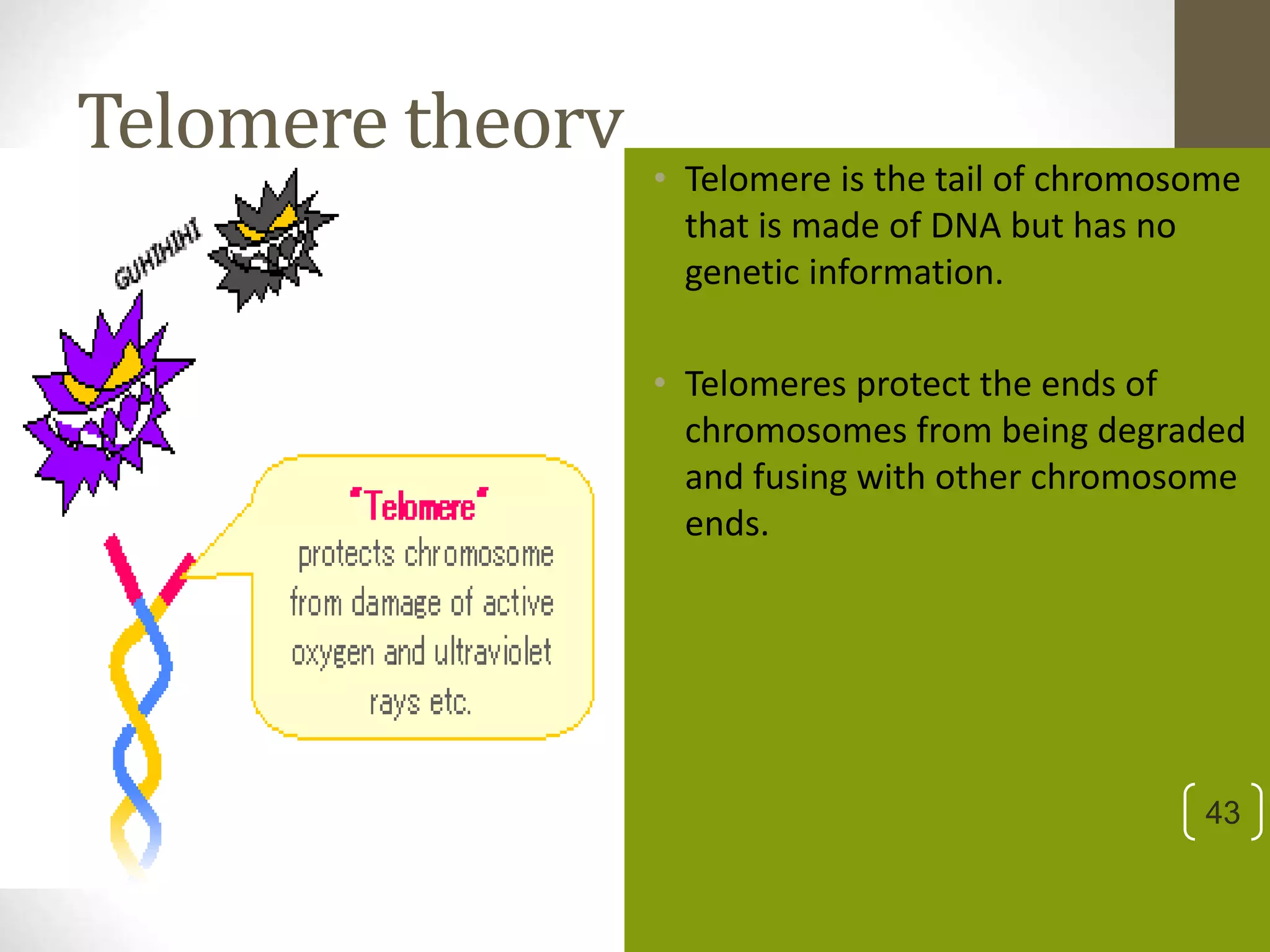 Biology of Aging | PPT