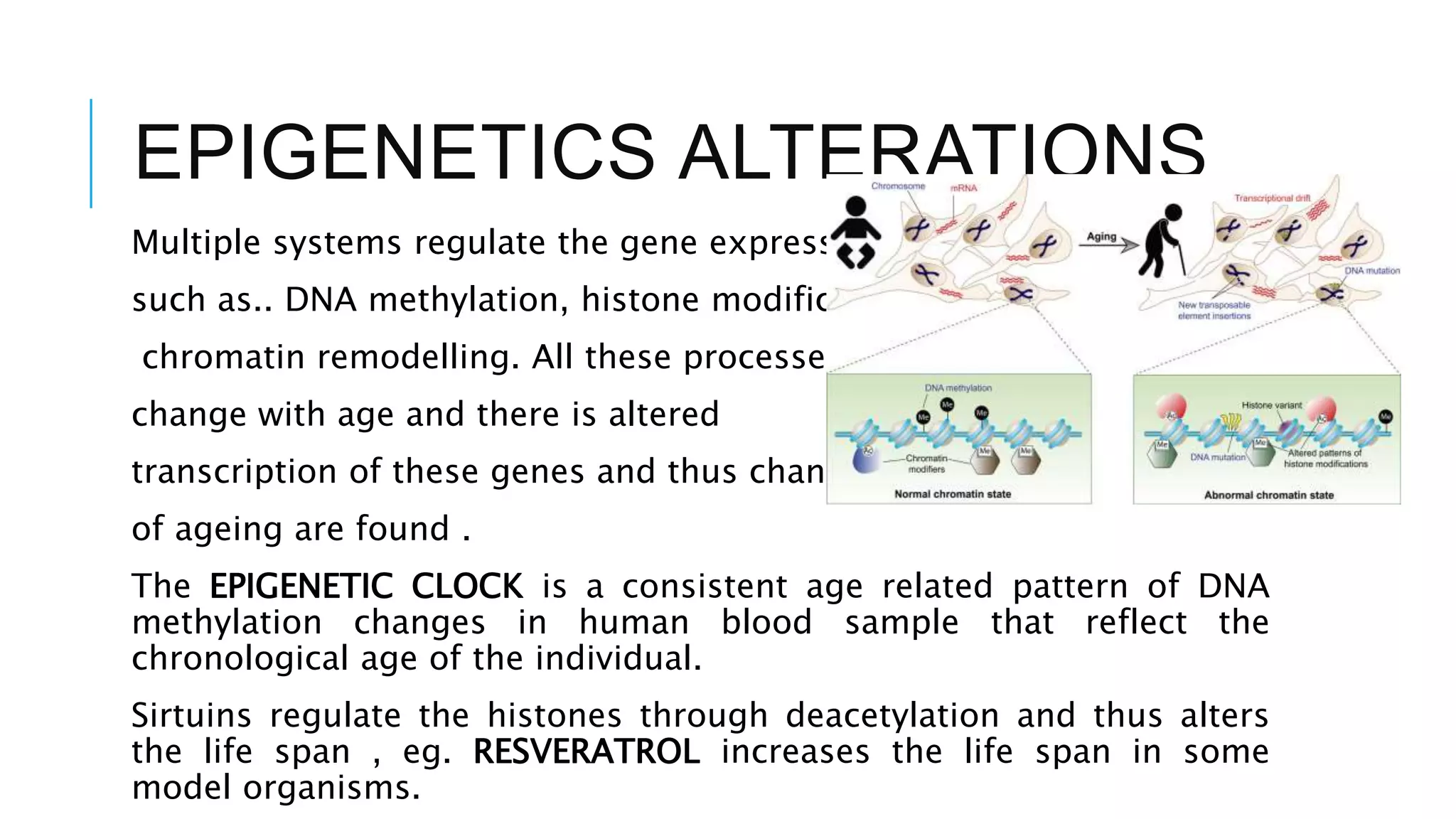 BIOLOGY OF AGEING complete.ppt
