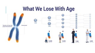 BIOLOGY OF AGEING complete.ppt