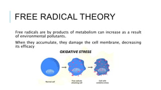 BIOLOGY OF AGEING complete.ppt
