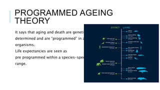 BIOLOGY OF AGEING complete.ppt