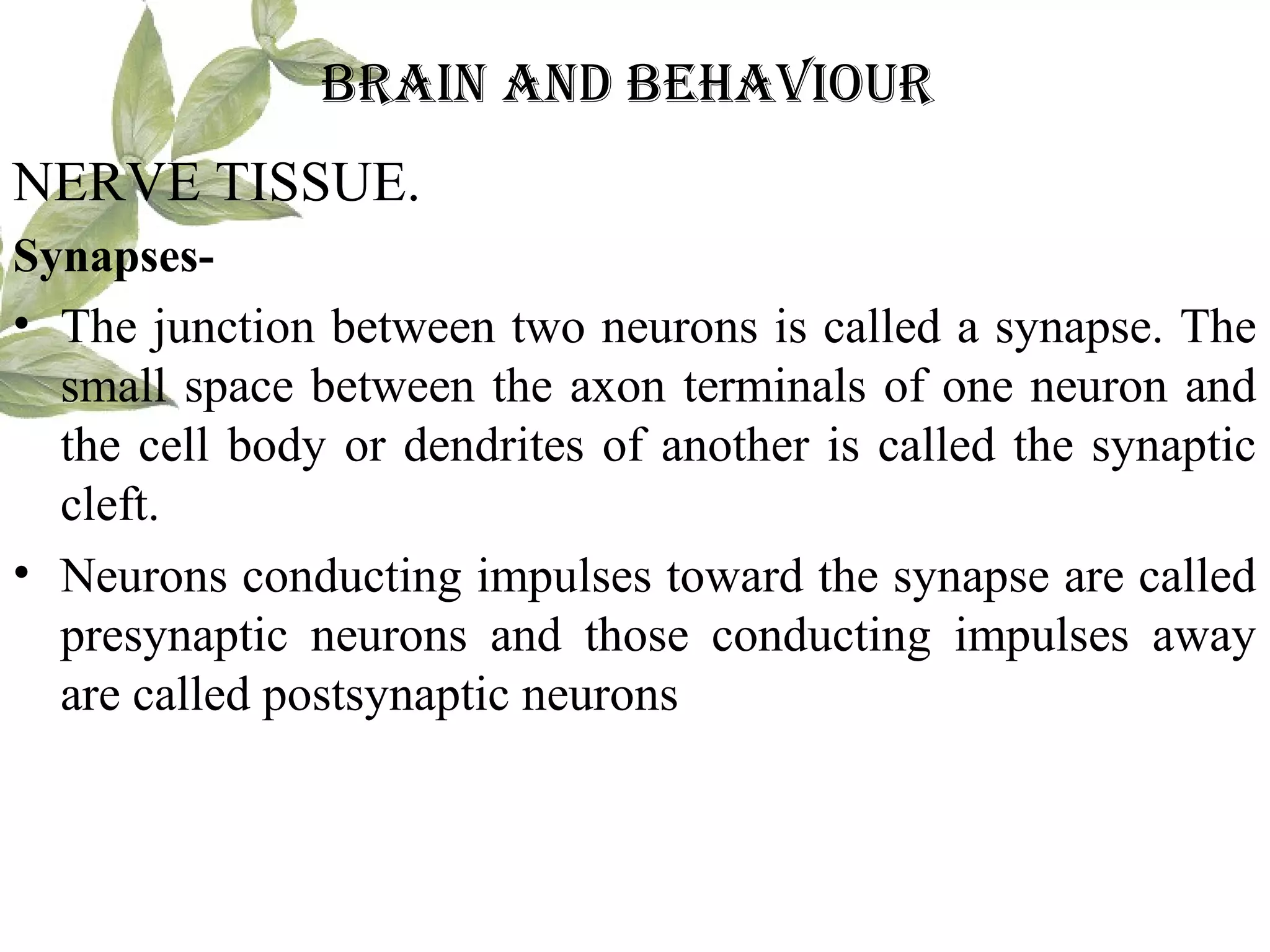 Biology of behavior | PPT