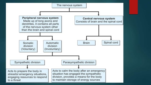 Biology of behaviour | PPTX