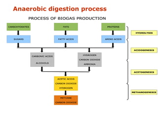 Biology of biogas | PPT