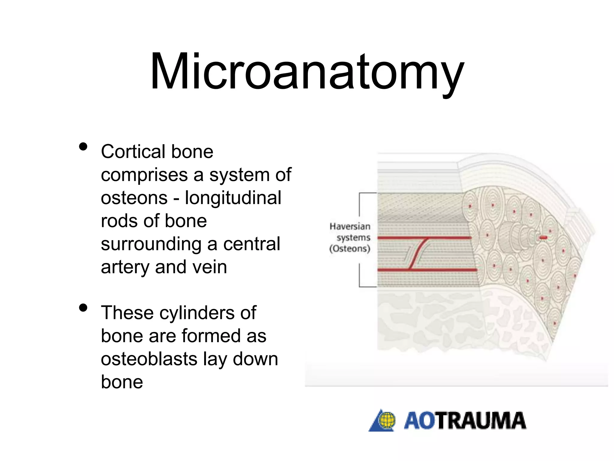 Biology of bone healing v2 | PPTX