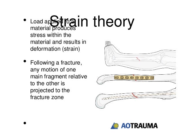 Biology of bone healing v2