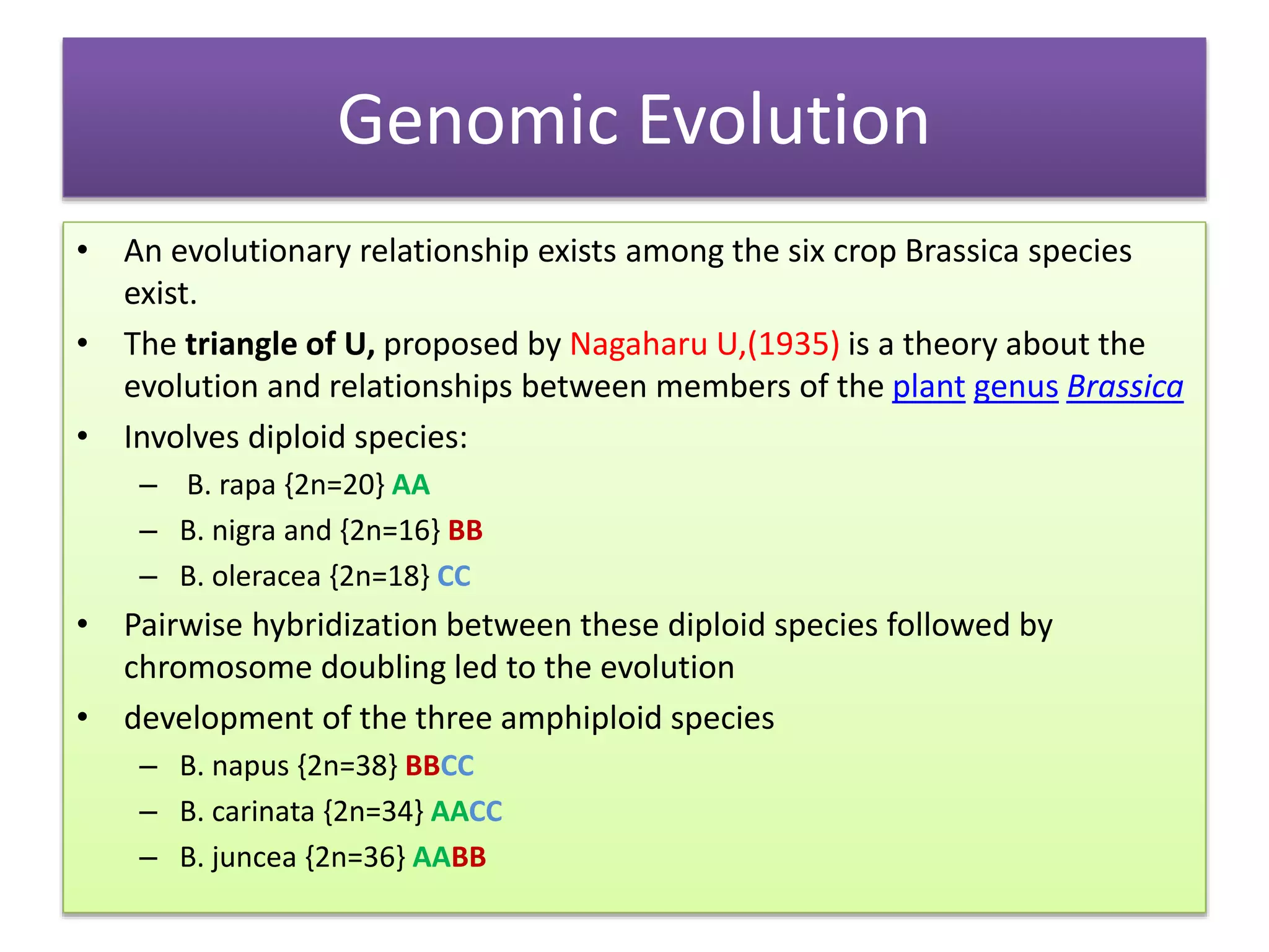 Biology of brassica juncea | PPTX