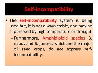 Biology of brassica juncea | PPTX