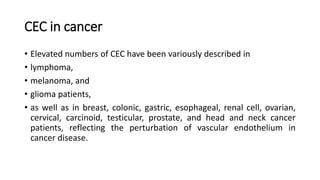 Circulating Endothelial Cells and Endothelial Progenitor Cells | PPT