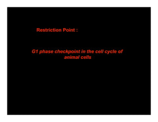 Biology of cancer lecture 5 cell cycle Karobi Moitra | PDF