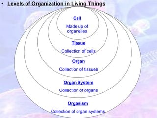 Biology of Cells notes | PPT