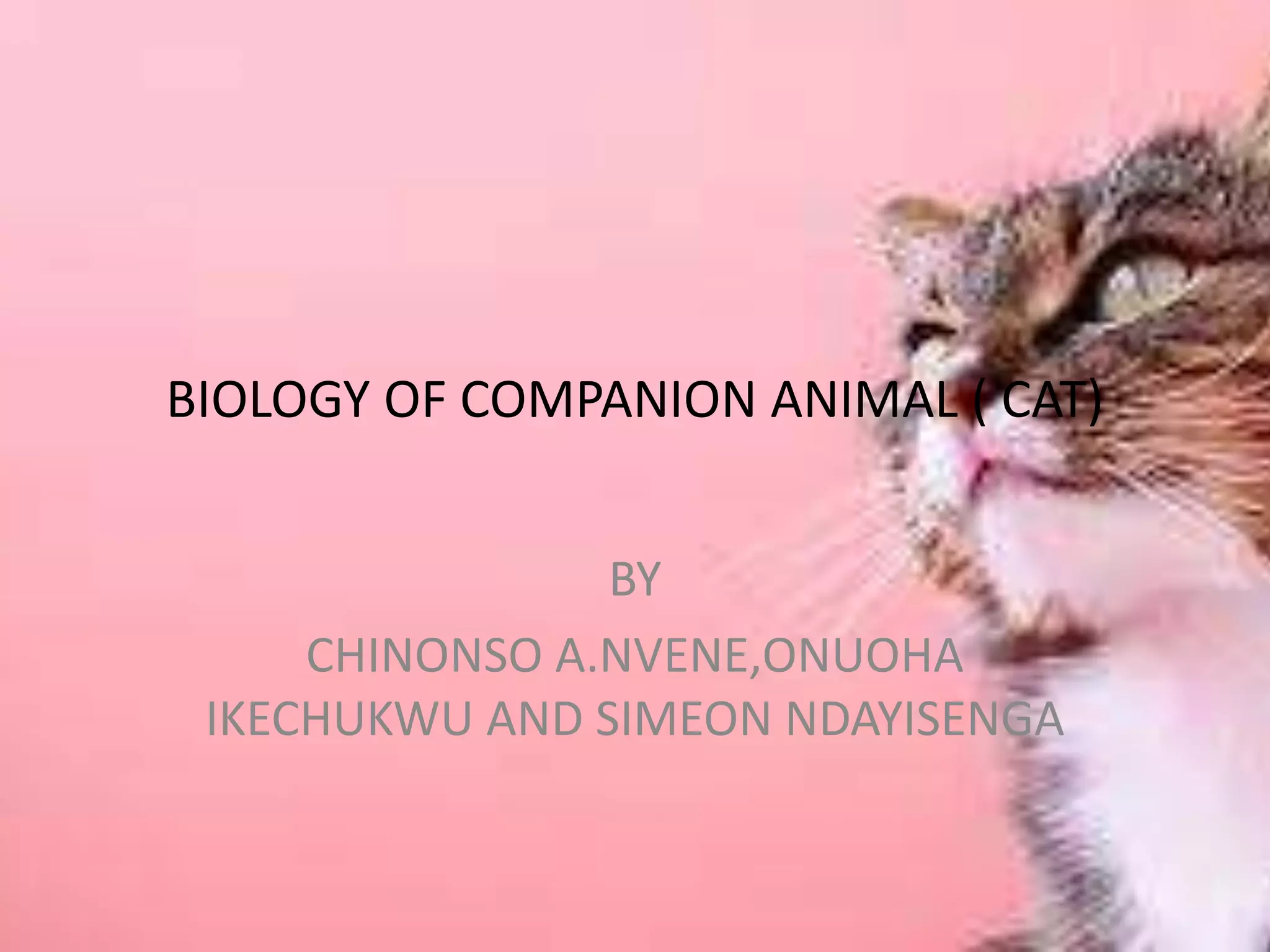 Biology of companion animal ( cat) | PPTX