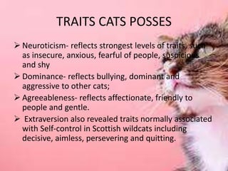 Biology of companion animal ( cat) | PPTX | Veterinary Medicine | Pets