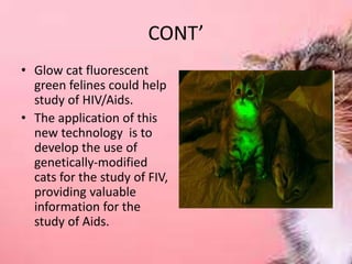 Biology of companion animal ( cat) | PPTX | Veterinary Medicine | Pets