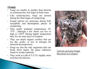 Biology of composting | PPTX