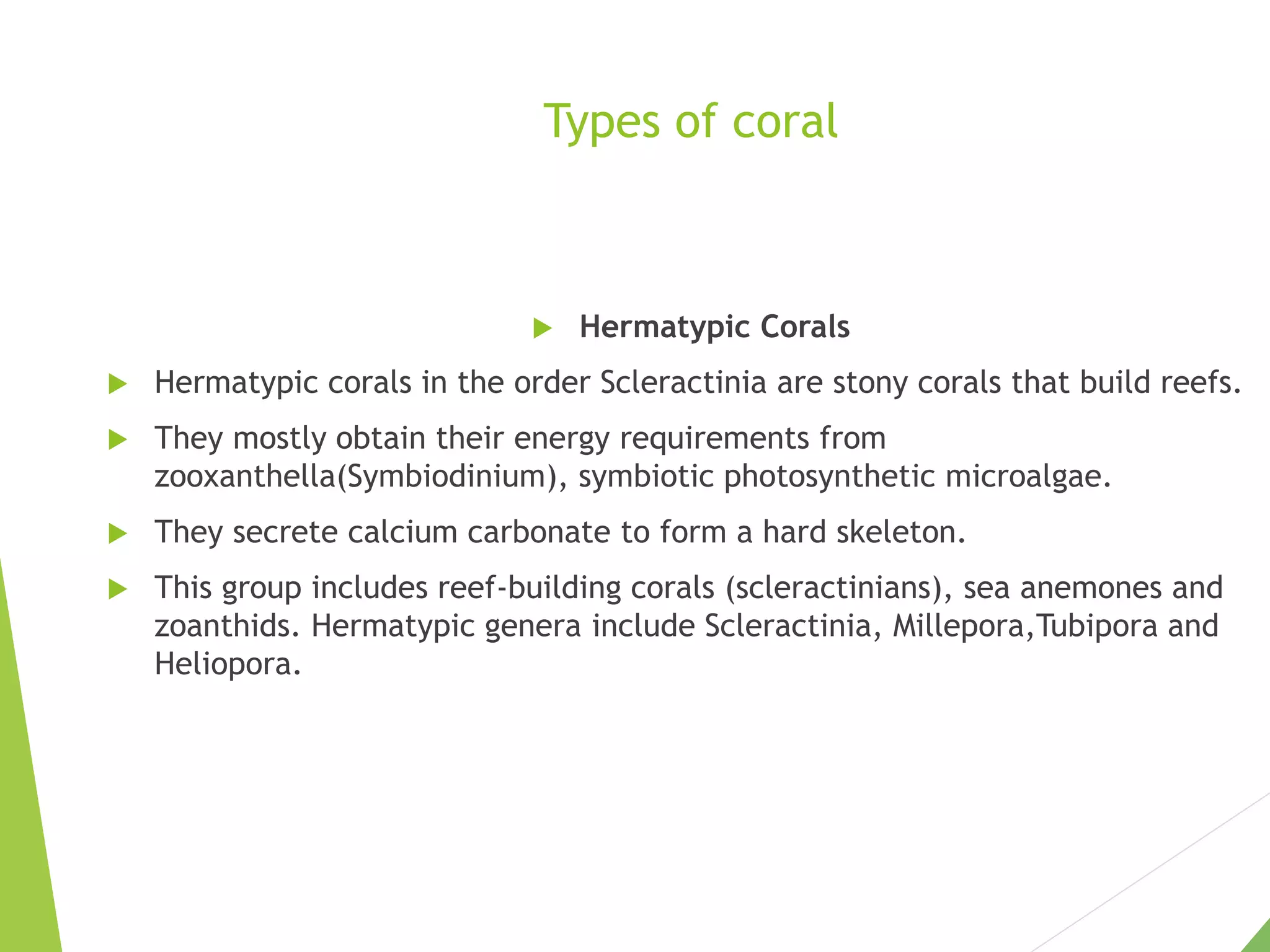 Biology of corals.pptx