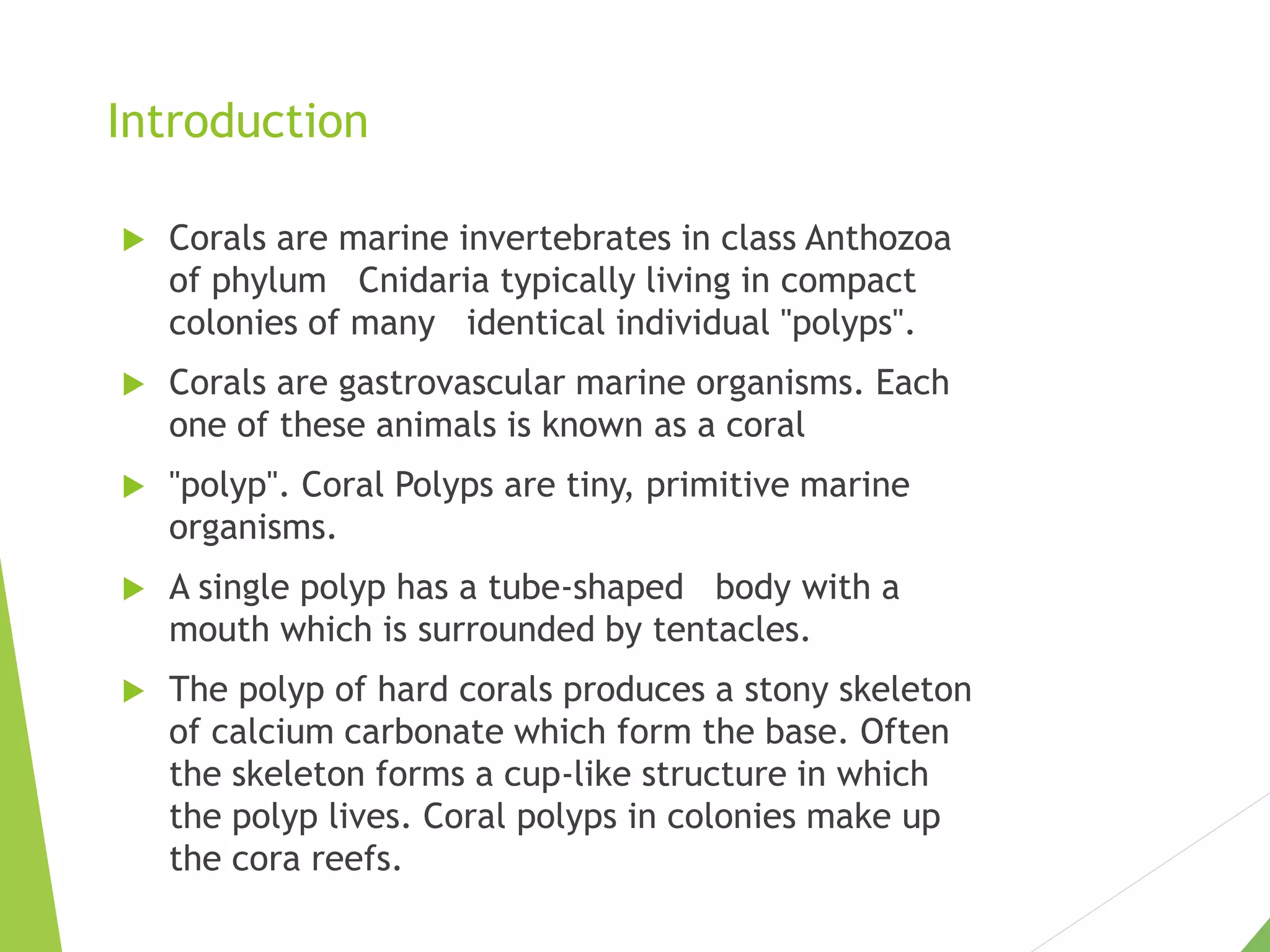 Biology of corals.pptx