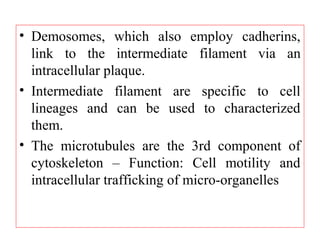 Biology of cultured cells | PPT