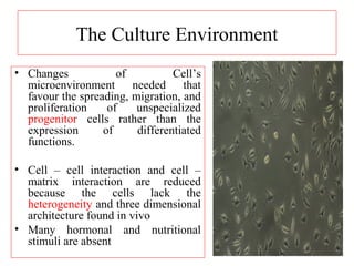 Biology of cultured cells | PPT