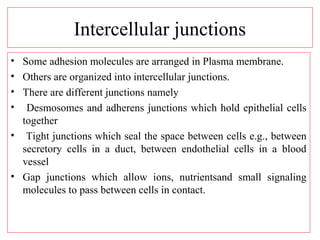 Biology of cultured cells | PPT