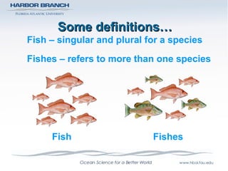 Biology of cultured fish | PPT