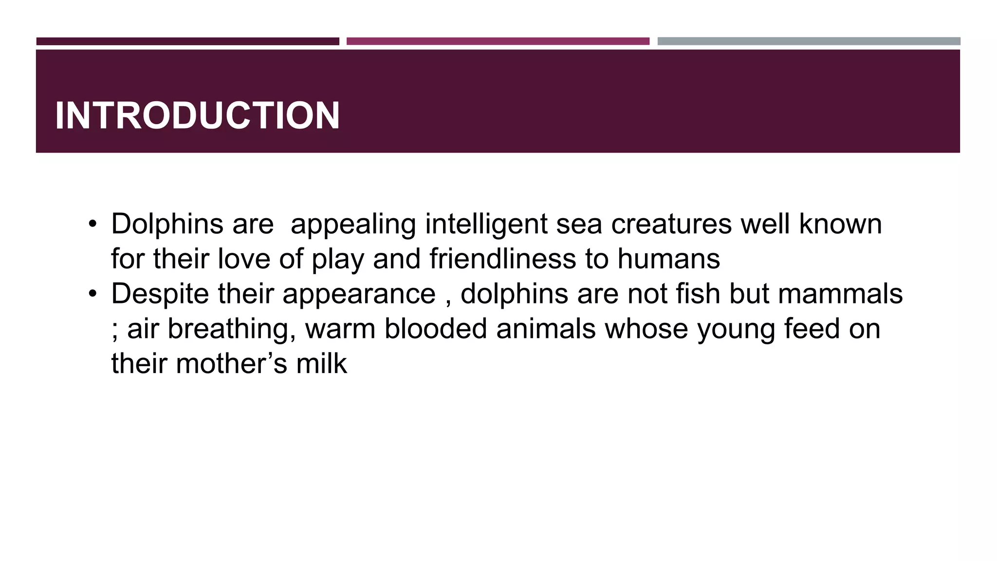 Biology of dolphins pptx | PPTX