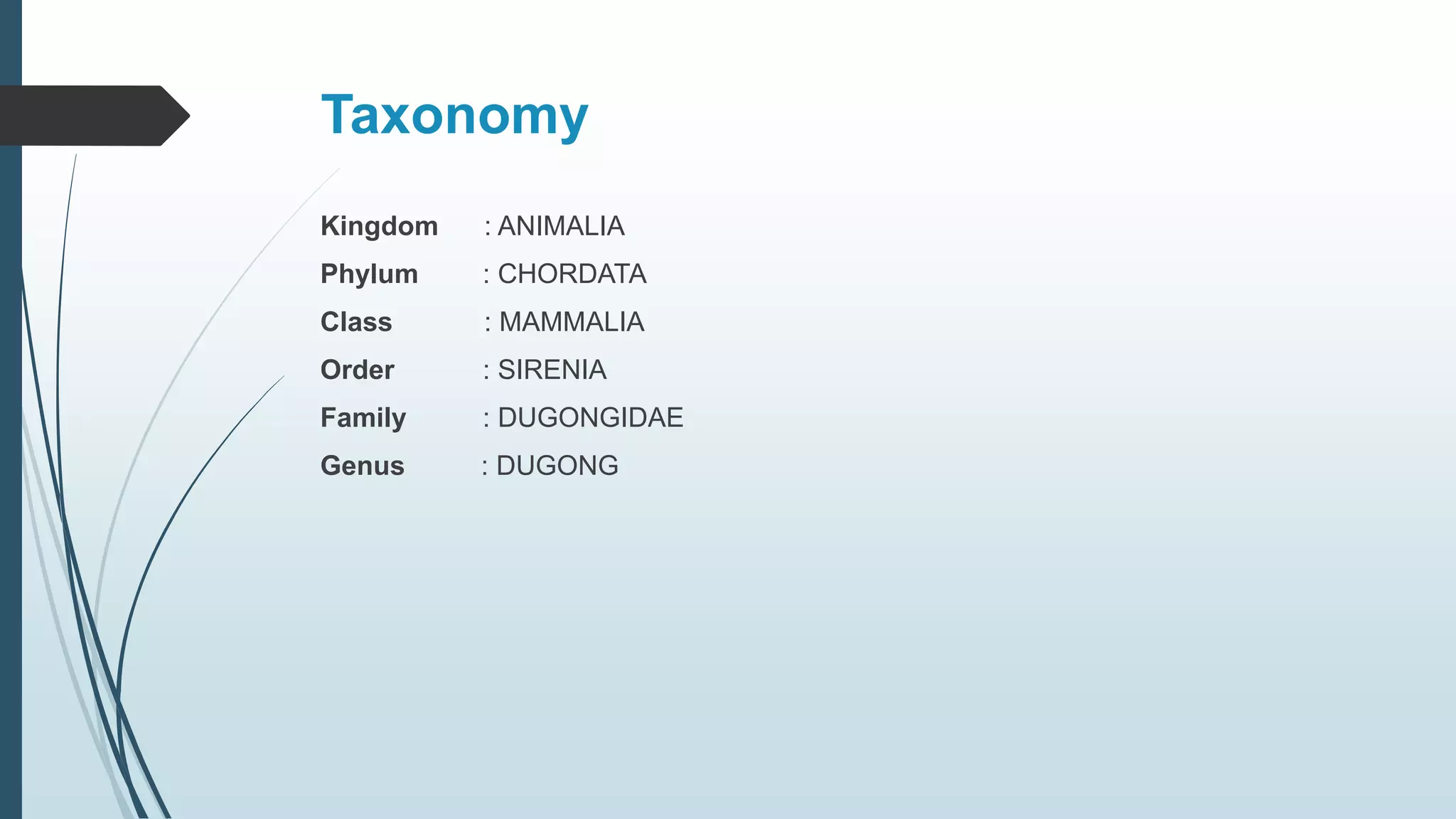 BIOLOGY OF DUGONG.pptx