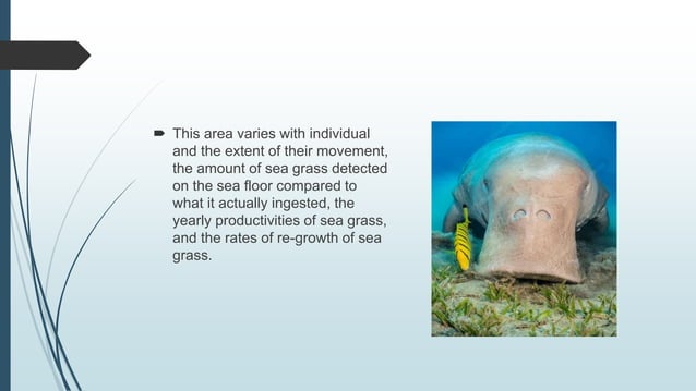 BIOLOGY OF DUGONG.pptx | Zoos & Aquariums | Attractions