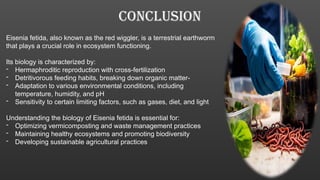 BIOLOGY_OF_Eisenia_fetida[1]-1[1].pptx.. | PPTX