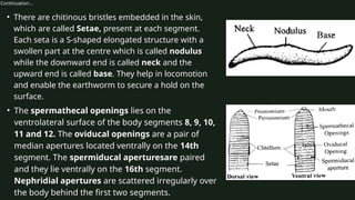 Biology of Eudrilus eugeniae and its limiting factors | PPTX