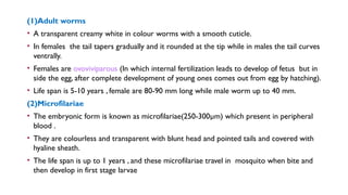 Biology of filarial infections.pptx (Filaria) | PPT