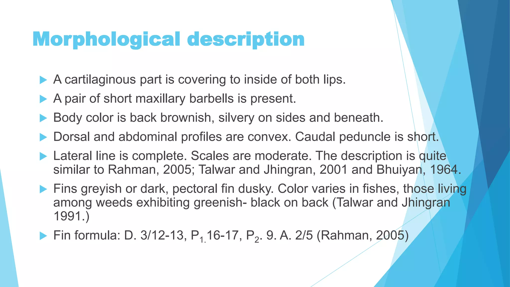 Biology of fin fish (labeo rohita) | PPTX