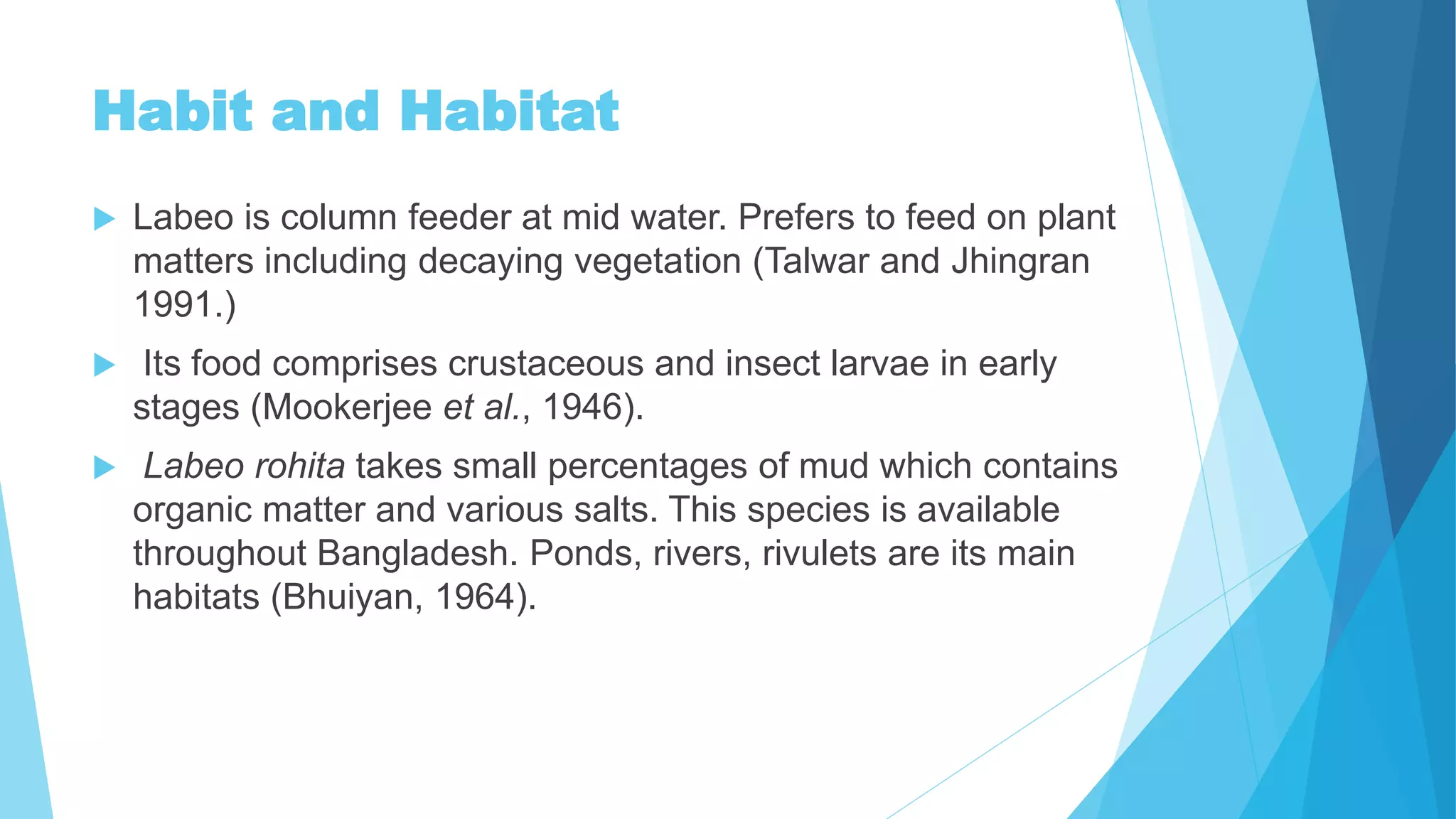Biology of fin fish (labeo rohita) | PPTX