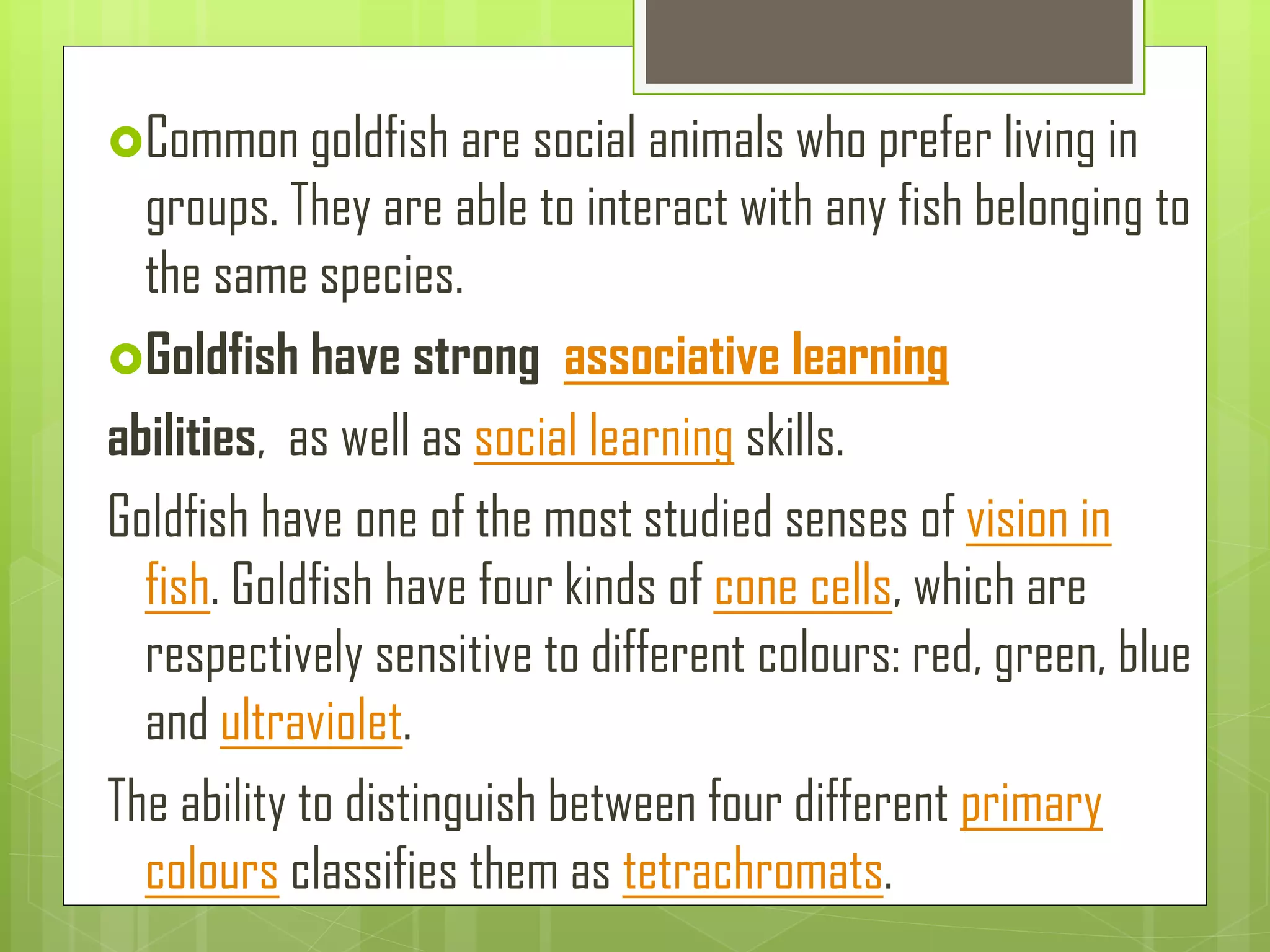 Biology of fish part 1 | PDF