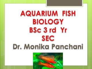 Biology of fish part 1 | PDF