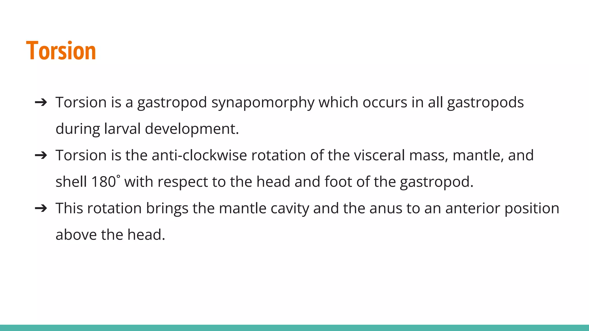 Biology of Gastropods -.pptx