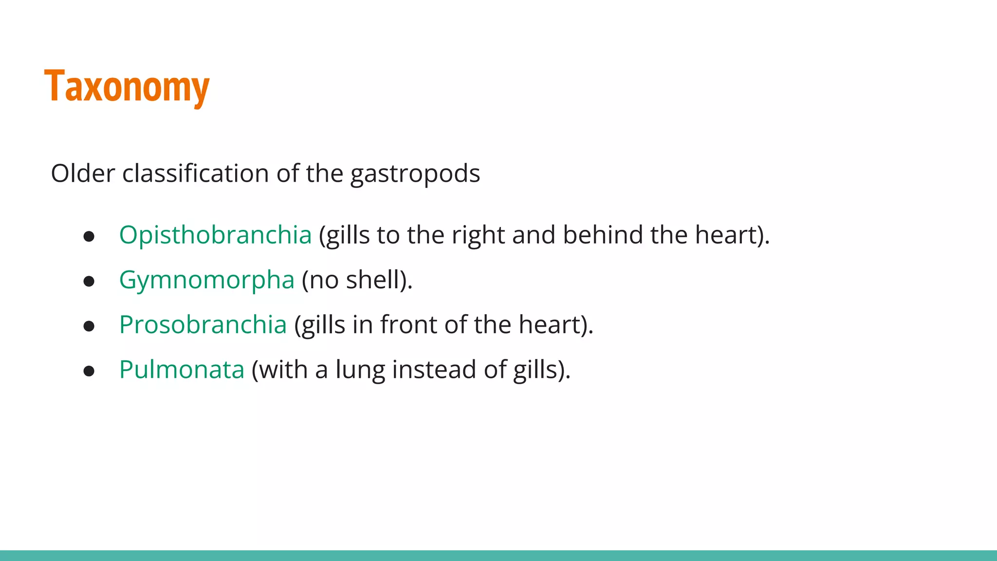 Biology of Gastropods -.pptx
