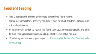 Biology of Gastropods -.pptx