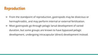 Biology of Gastropods -.pptx