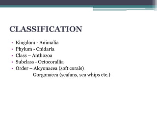 Biology Of Gorgonids.pptx