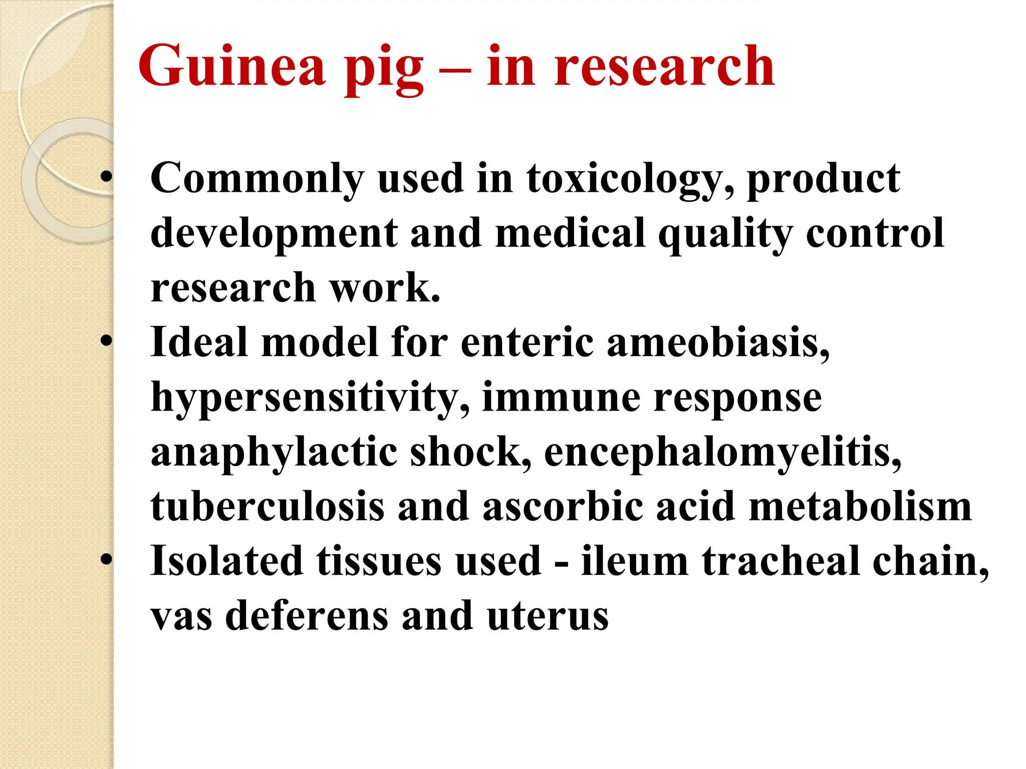 Biology of laboratory animals (guinea pig and rabbit).pptx