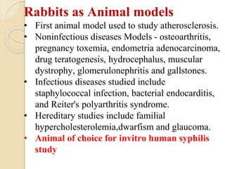 Biology of laboratory animals (guinea pig and rabbit).pptx