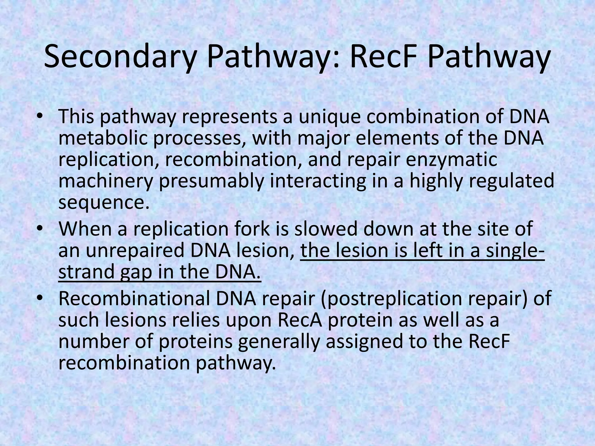 Biology of homologous recombination in bacteria | PDF