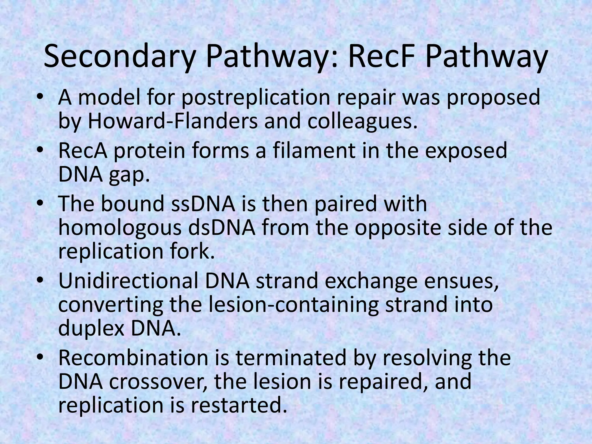 Biology of homologous recombination in bacteria | PDF