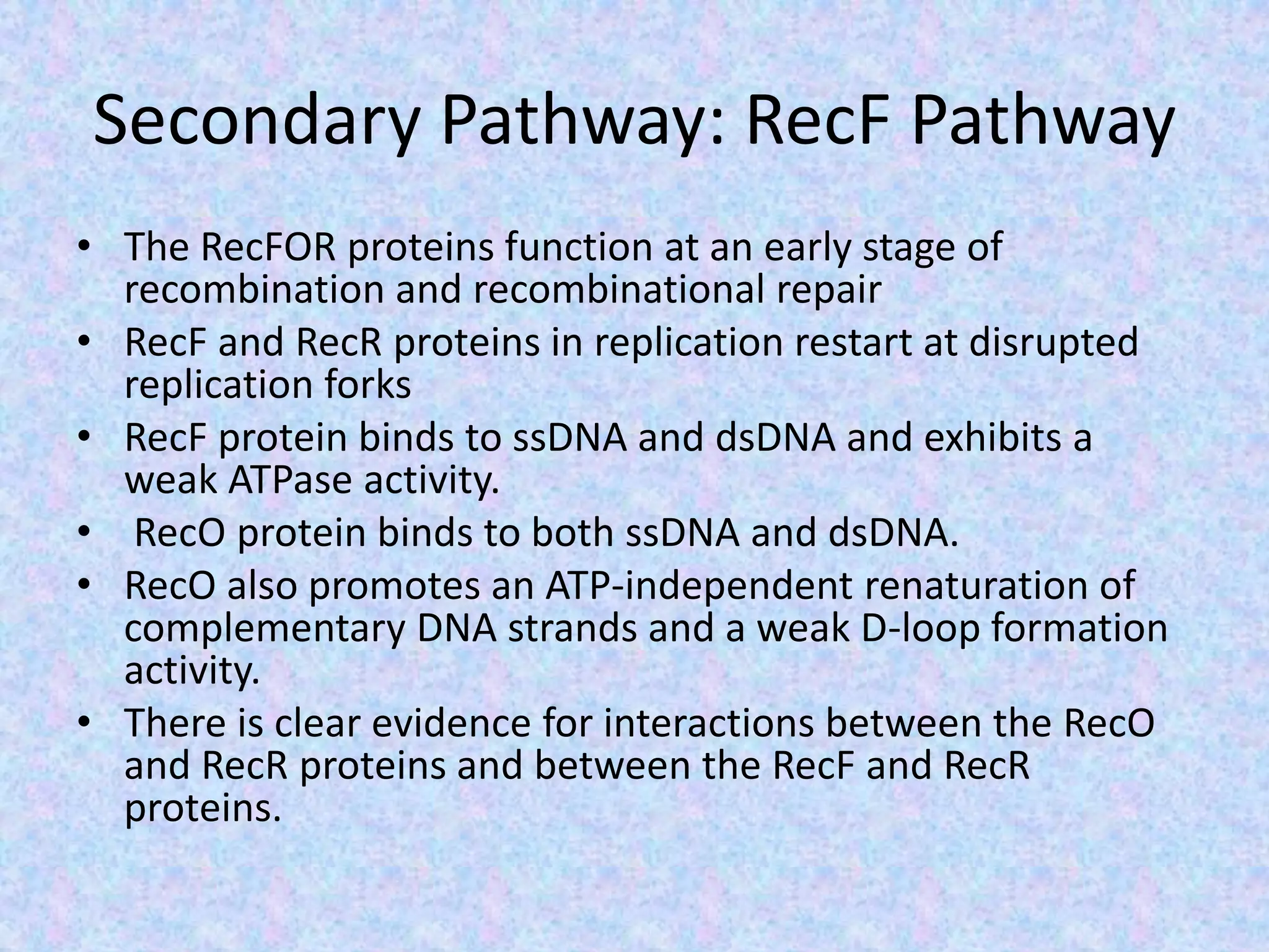 Biology of homologous recombination in bacteria | PDF