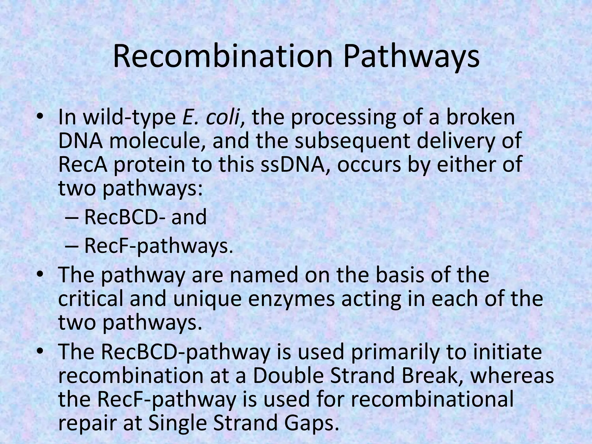Biology of homologous recombination in bacteria | PDF