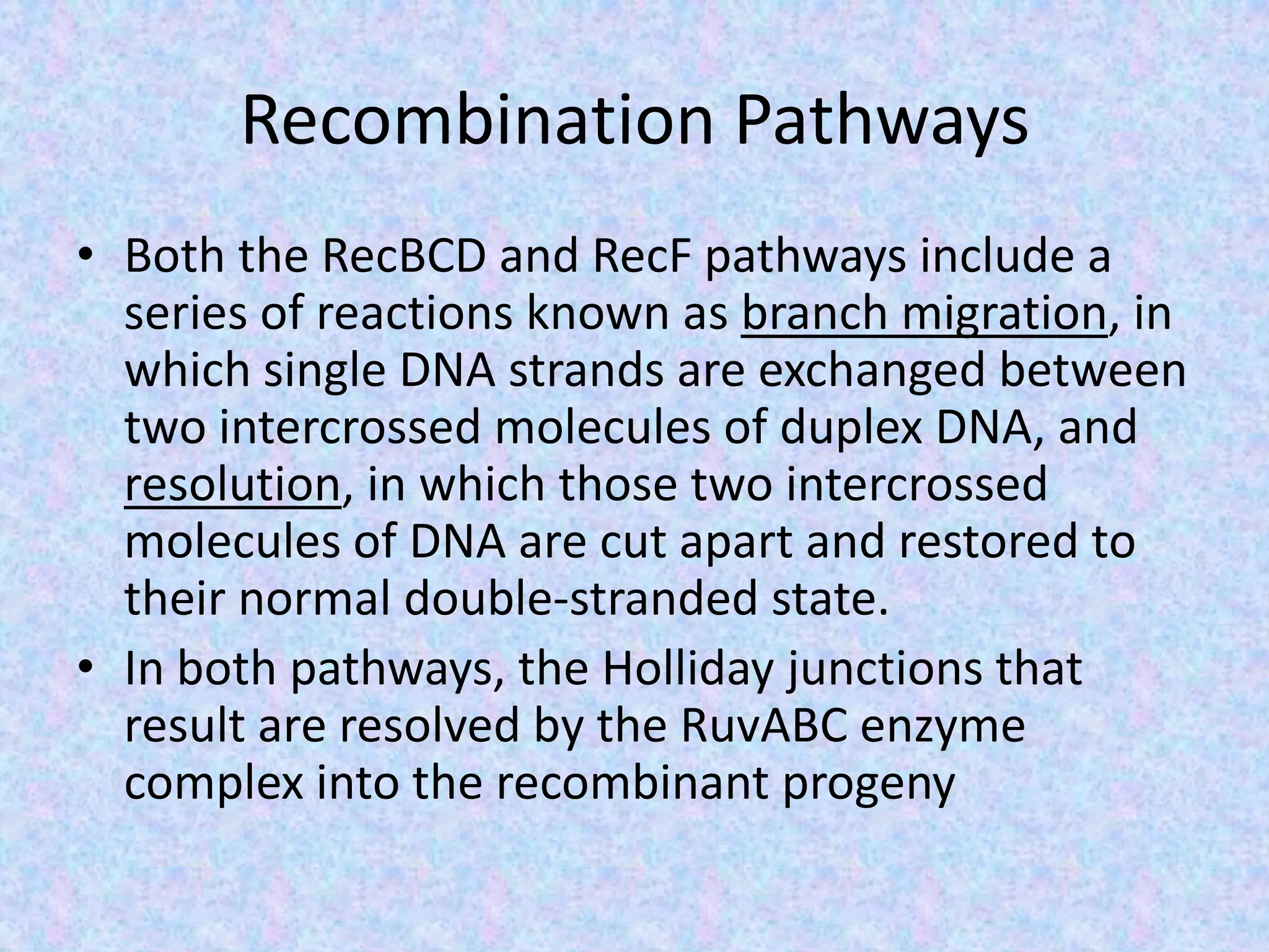 Biology of homologous recombination in bacteria | PDF
