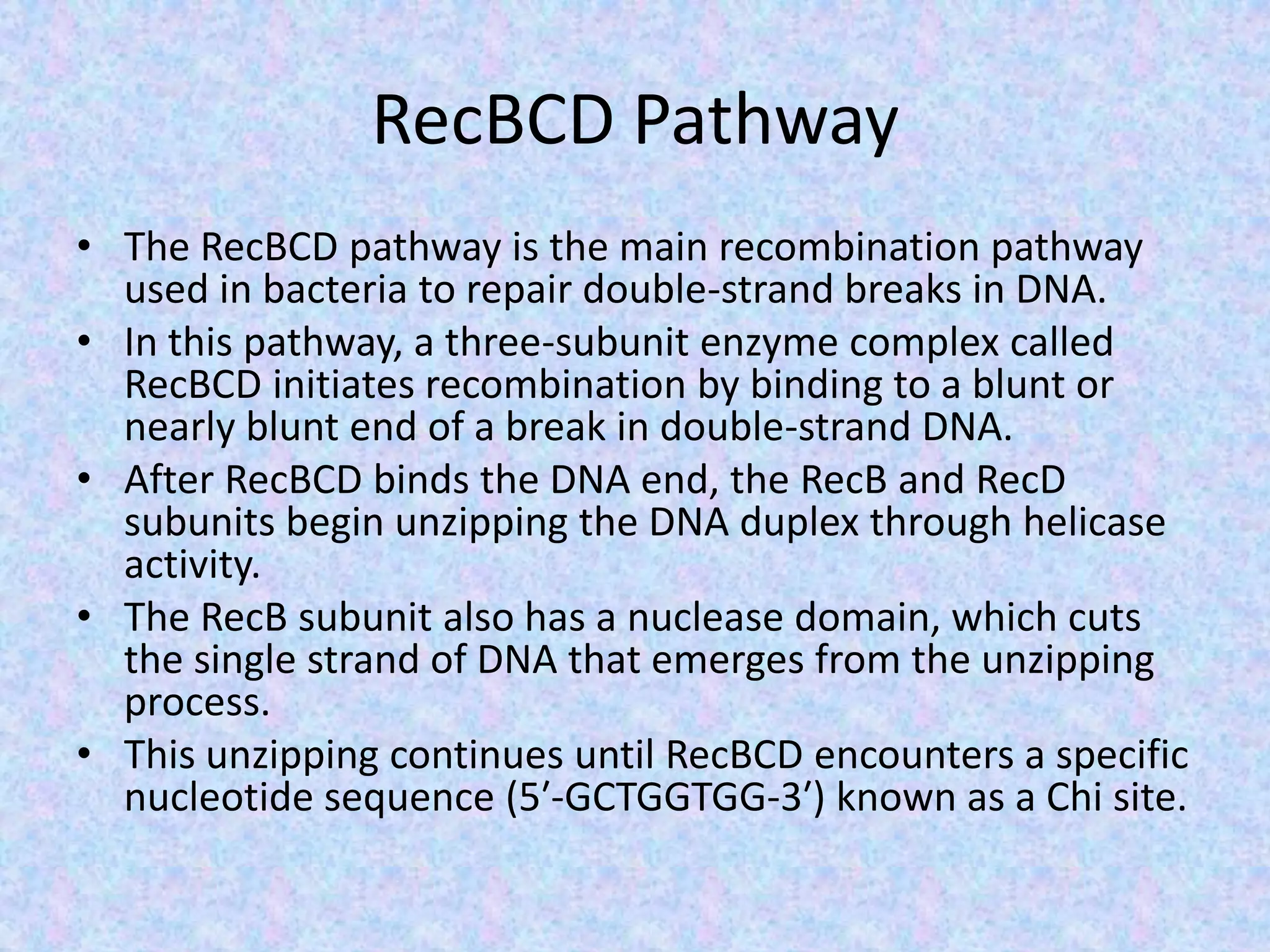 Biology of homologous recombination in bacteria | PDF