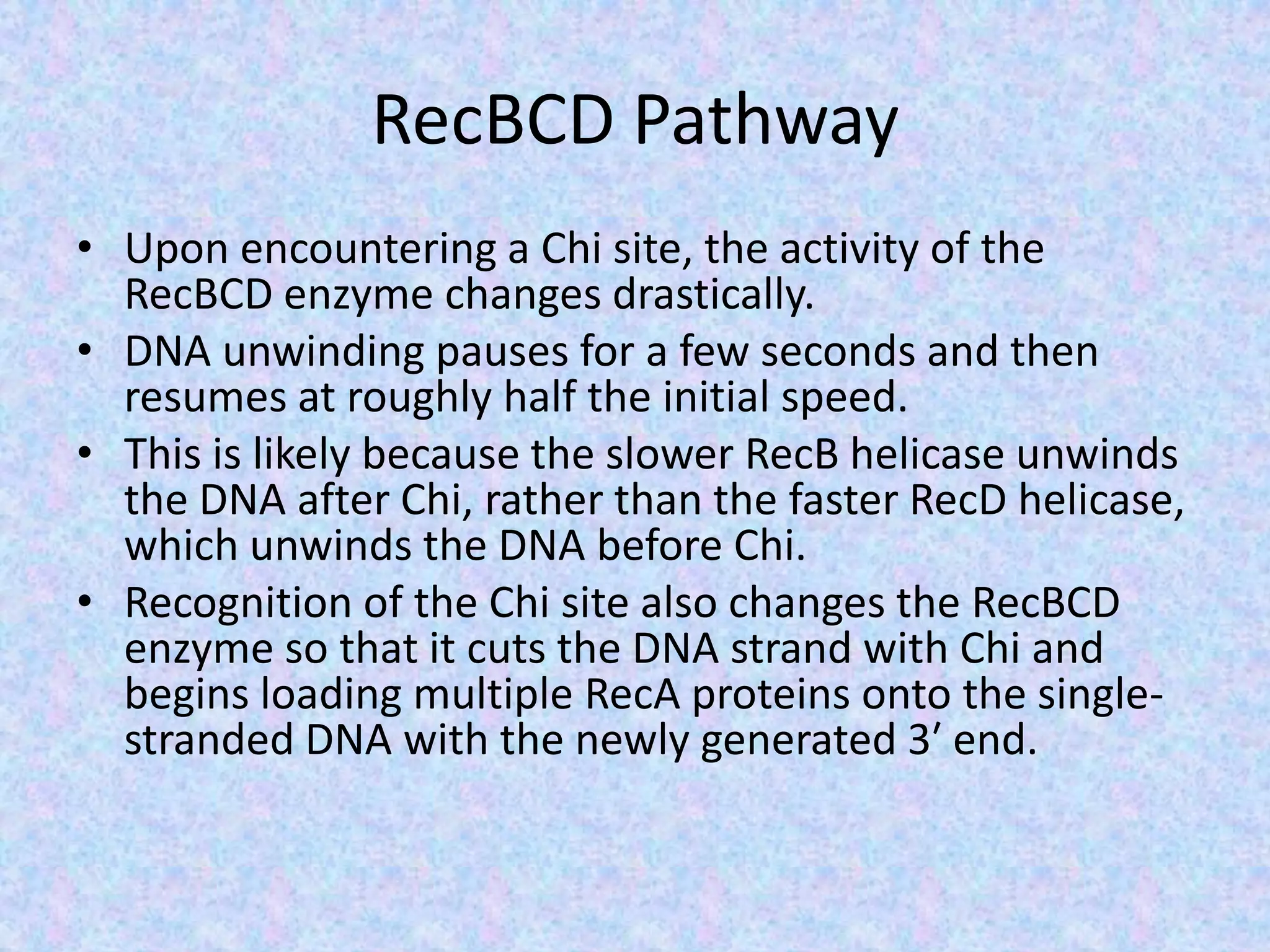 Biology of homologous recombination in bacteria | PDF